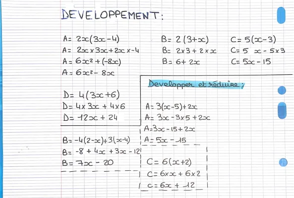 développement (Maths) en PDF - Knowunity