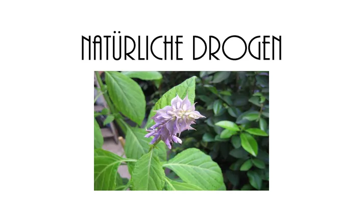 Einfach erklärt: Natürliche Drogen in Biologie, Gesundheit - Knowunity